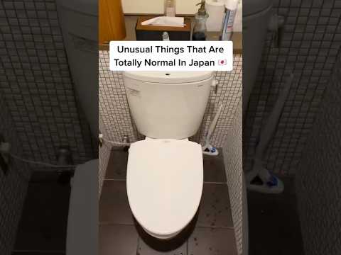 Japanese Toilet Sink Combo: Genius or Gross?