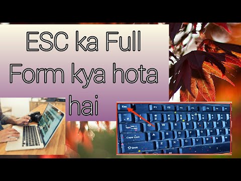 "Esc " ka Full Form जाने एक मिनटों में।। #short ,#what is the full form of ESC, #key , #escape