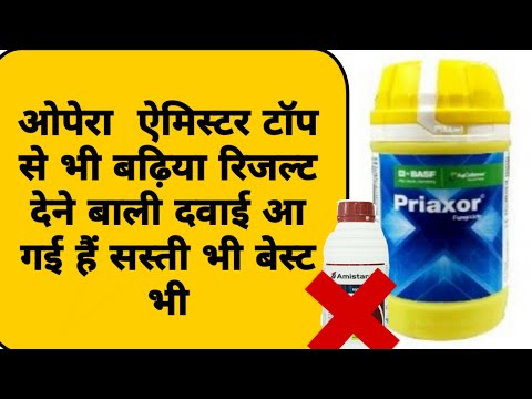 BASF Priaxor Fungicide, Price from Rs.0/unit onwards, specification and ...