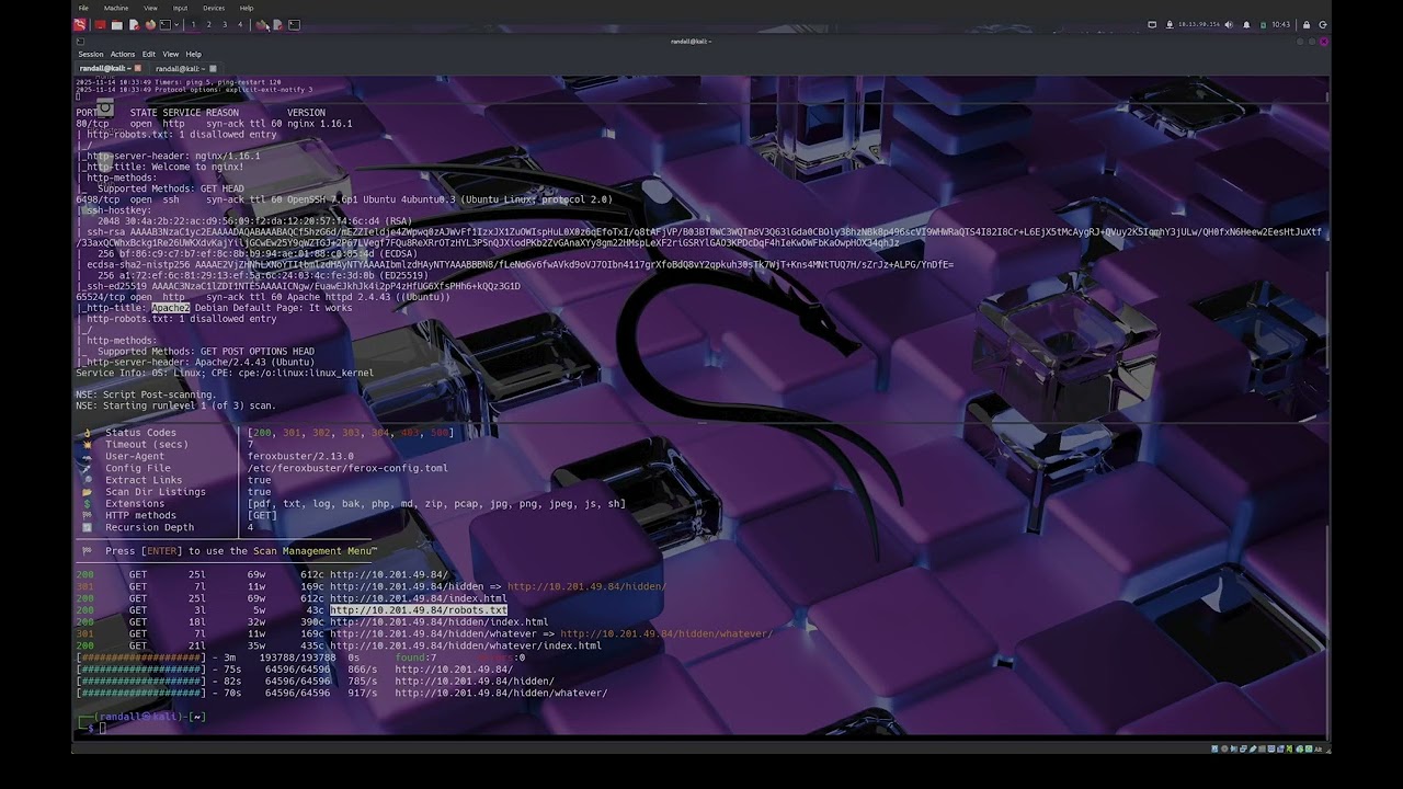 TryHackMe CTF Easy Peasy Walkthrough Step‑by‑Step Guide