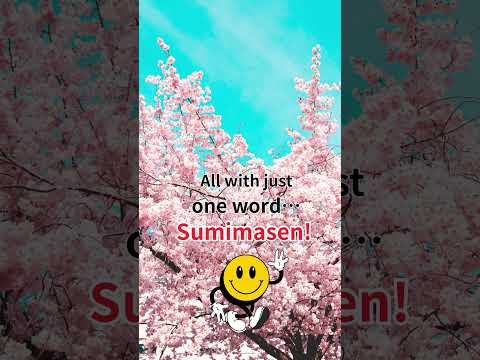 One Word, 3 Meanings?! Japanese Culture Shock π³ #sumimasen #japaneseculture #japantips