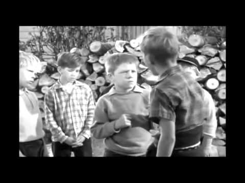 Sticks and Stones… – My Hillbilly Logic