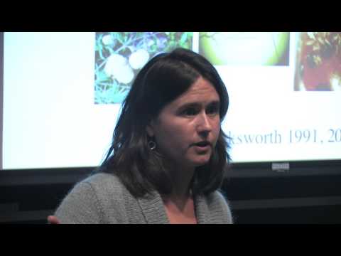 “Last Chance to Know?  Building the Biogeography of an Ectomycorrhizal Fungus” by Dr. Anne Pringle