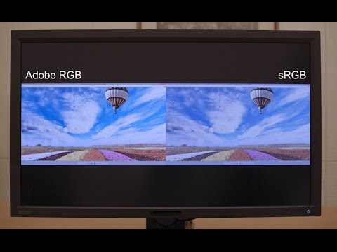 How to use GamutDuo function to view contents in different color spaces side-by-side