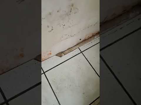 Raised Access Floors - Wood Core False Flooring for Control Rooms ...