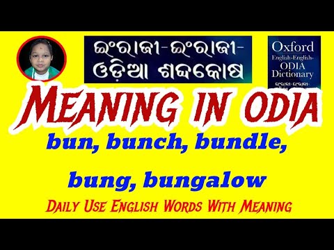 bun, bunch, bundle, bung, bungalow Meaning In Odia | Daily Use English Words With Meaning In Odia