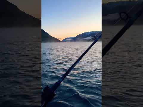 Trolling in the AM 🚤🛶⚓️#yukon #canada #fishing
