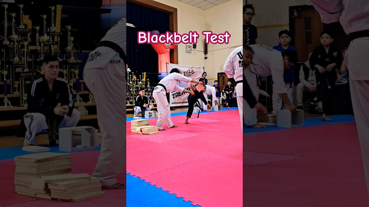 Blackbelt Test #taekwondo #360kick #martialarts #blackbelt #taekwondotraining #sashaworld #shorts