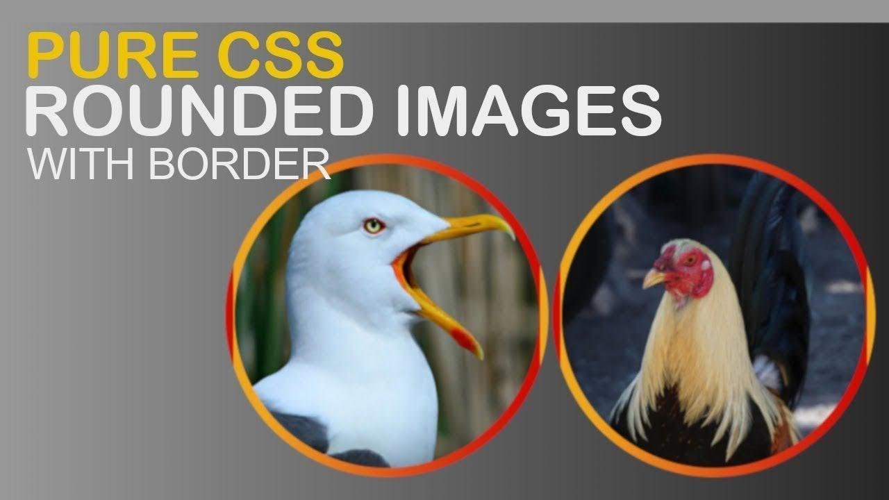 How To Create CSS Images Rounded Corners With Border  2019