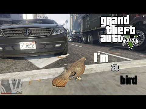 Steam Community :: Video :: I'm a BIRD GTA 5