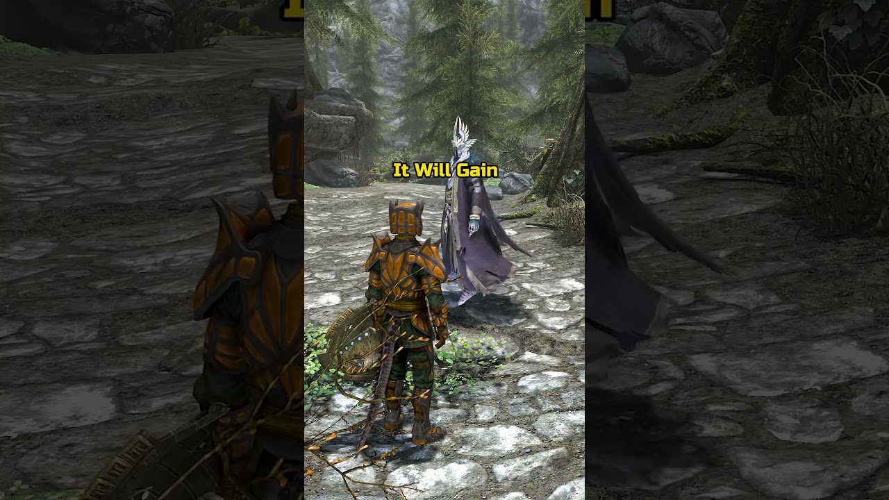 This Skyrim Shield Breaks Ghost Physics #gaming #skyrim #shorts