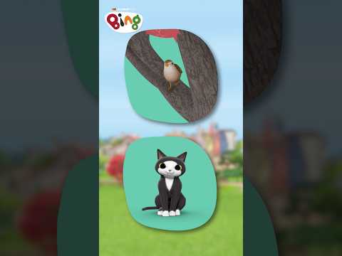 Bing Quiz: Which Can Fly? #Shorts | Bing Shorts