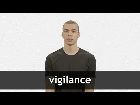 VIGILANCE definition and meaning | Collins English Dictionary