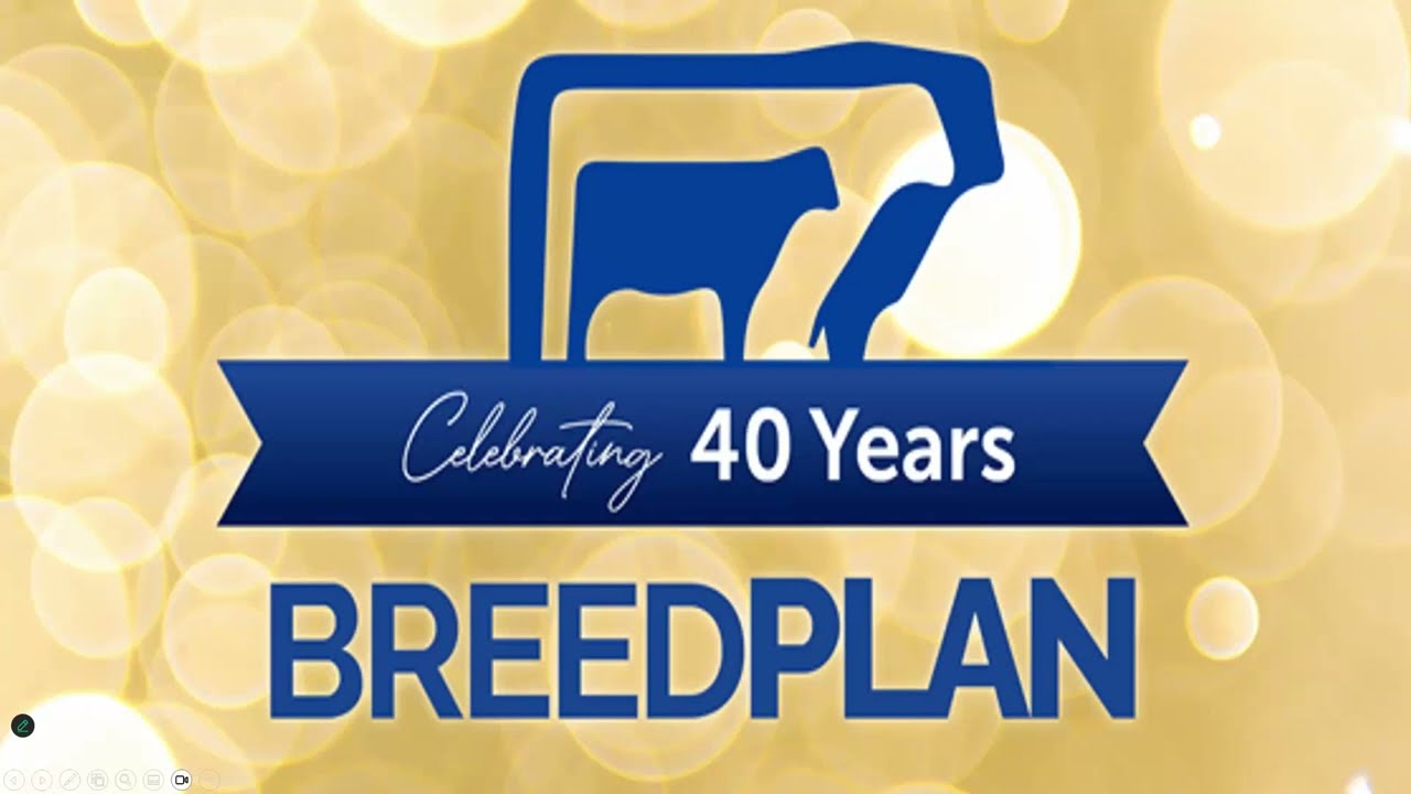 BREEDPLAN Turns 40!