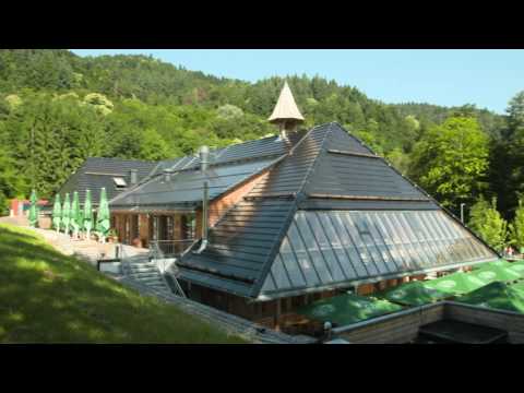 What makes silver fir such a special construction timber? WOODIVERSAL meets Geroldsauer Mühle