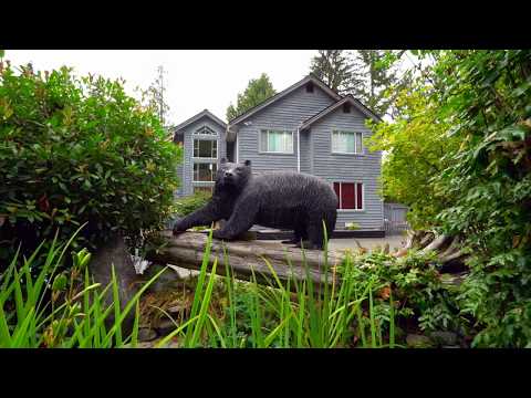 West Coast River Lodge - Port Alberni, BC