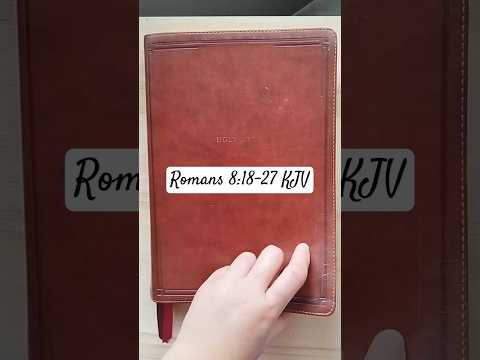 Romans 8:18-27 KJV (Bible Verses of the Day) #bibleverseofthedaykjv #biblereading #shorts