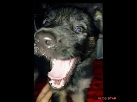 Animal lover β€οΈ