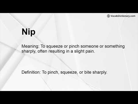 Nip Meaning