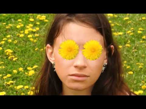 Dreams - Me when Minecraft music is dream