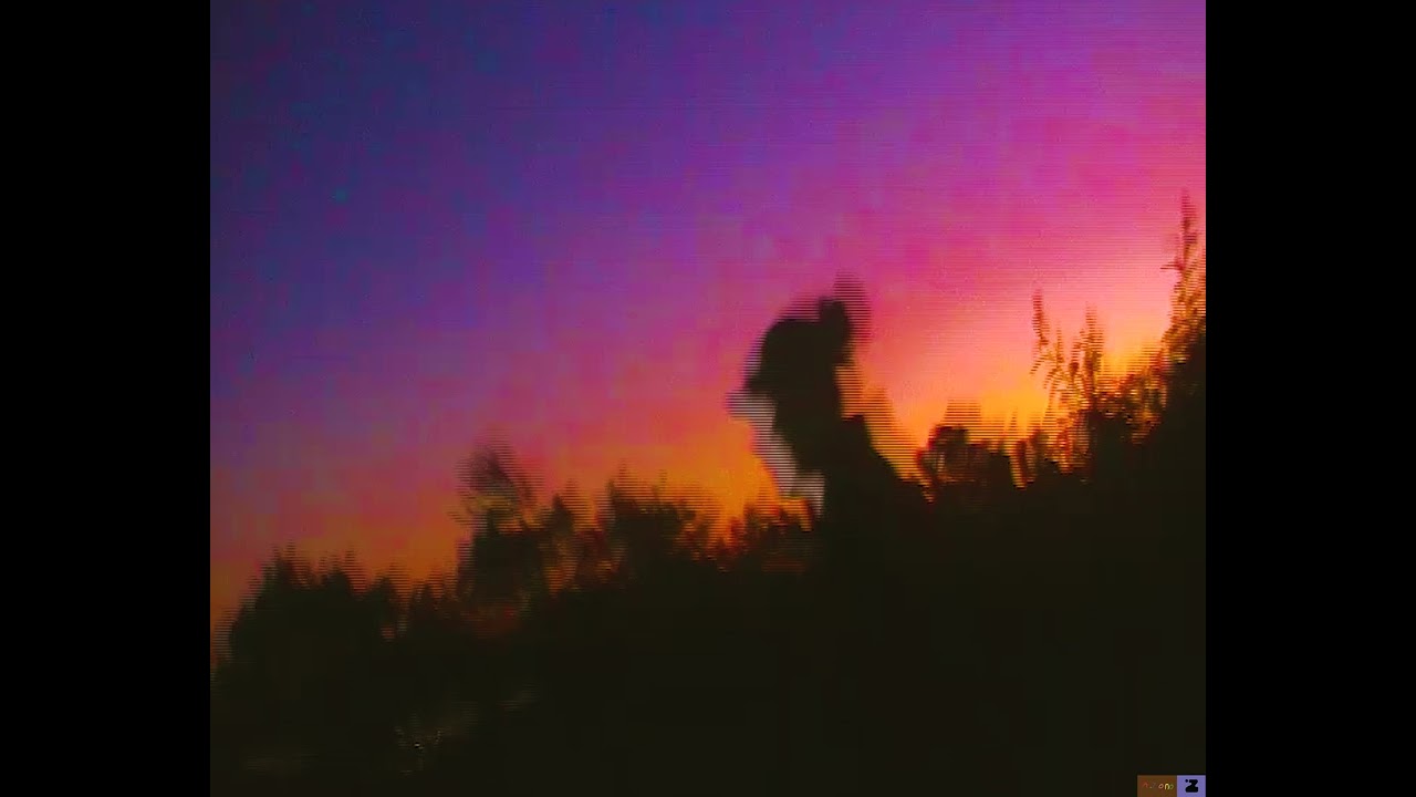 Table View - Trees (Official Video)