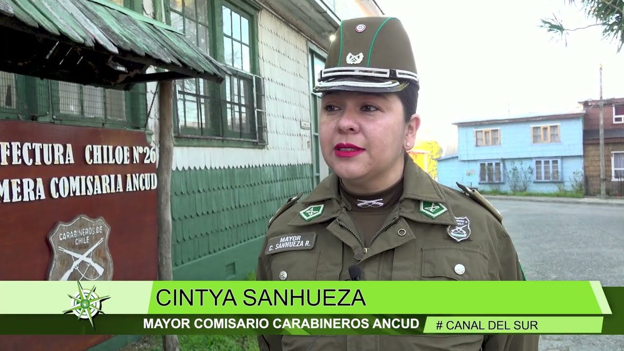 INCAUTAN 2 KILOS DE MARIHUANA EN CONTROL CARRETERO EN TENENCIA CHILOÉ.