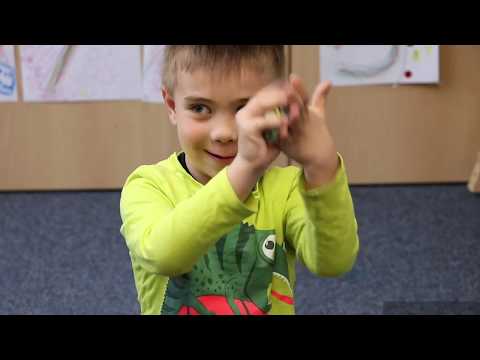 Schwungreisen - Vorübungen zum Schreibenlernen - Deutsche Fernschule