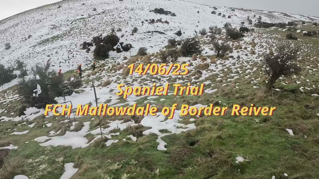 Video can’t be displayed