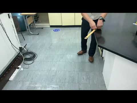 Projectile Motion Demo with Two Coins – Easy Peasy All-in-One Homeschool