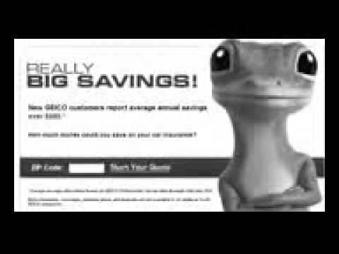 Geico insurance company