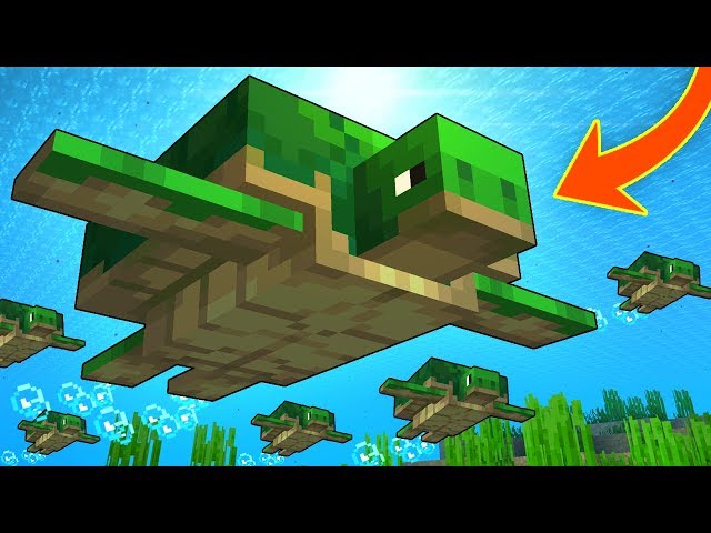 What do turtles eat in Minecraft?