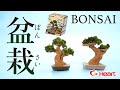 Build Your Own Edible Chocolate Bonsai Tree - Nerdist