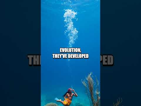 The Astonishing Courage of the Sea Nomads