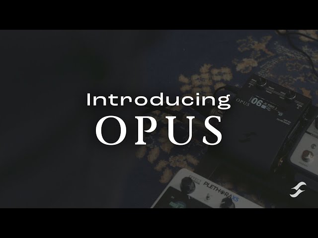TWO NOTES OPUS Amp Simulator | Kytary.pl
