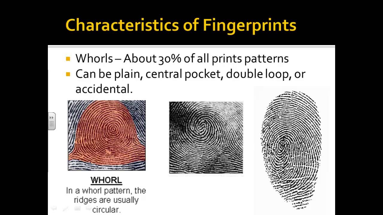 Fingerprints Video part 1