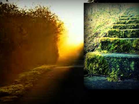 Mad world* ( Gary Jules) dtsch. Übersetzung - selbst gesungen