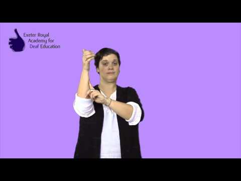 British Sign Language BSL Video Dictionary - flag