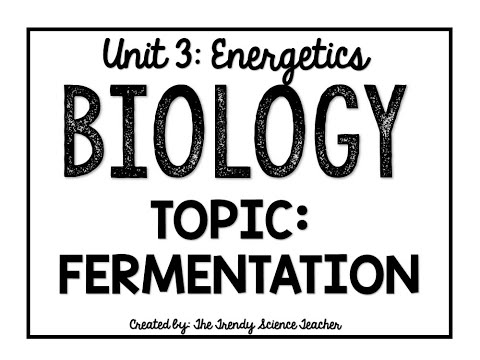 Biology Lesson: Fermentation