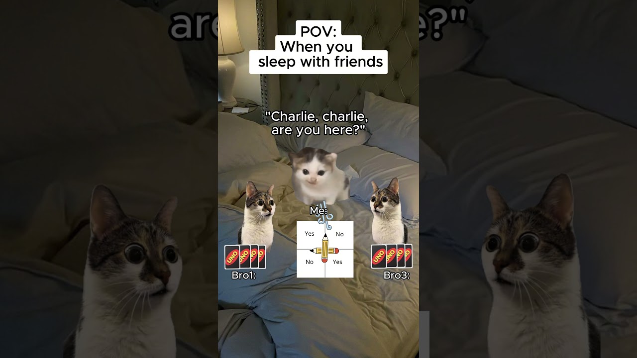 CAT MEMES 🐱 When you sleep with friends #shorts #catmemes #relatable