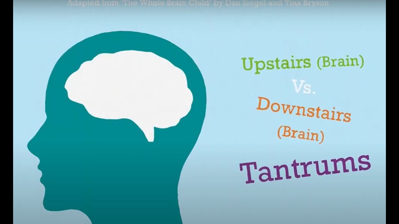 Understanding Children’s Behaviours – Tantrums vs. Meltdowns