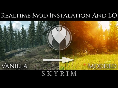 REALTIME MOD INSTALATION FOR SKYRIM ENB | Bonus Video To My Ultimate A-Z Modding Tutorial