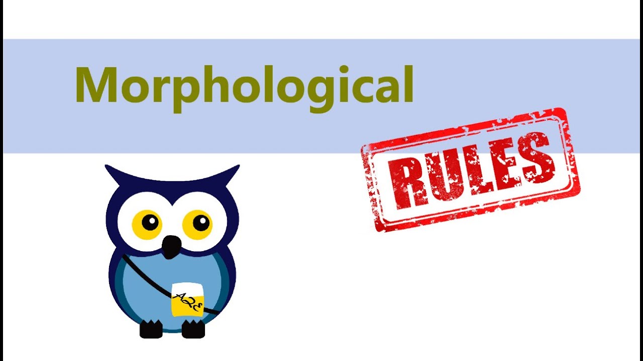 Morphological Rules