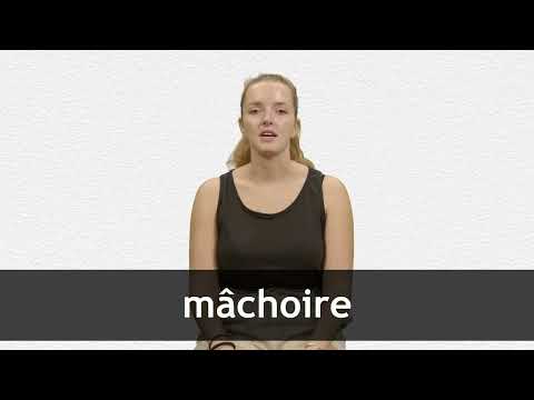 English Translation of “MÂCHOIRE” | Collins French-English Dictionary