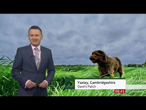 Weather images & its windy everywhere (UK) - BBC weather - 21st May 2021
