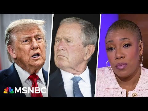‘I would like to see George W. Bush’: Symone calls on 43 to SPEAK OUT against Trump