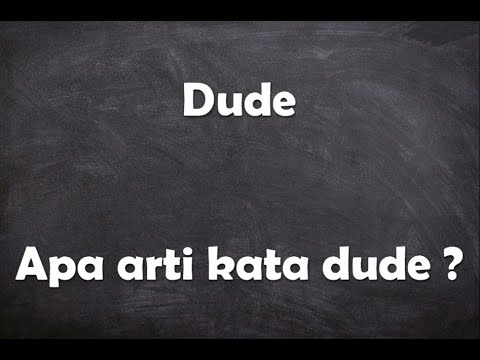 Apa arti kata Dude ?