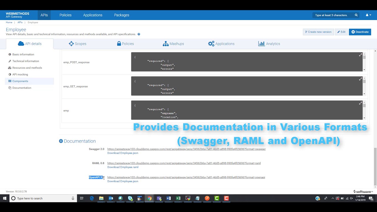 webMethods API Gateway for Government