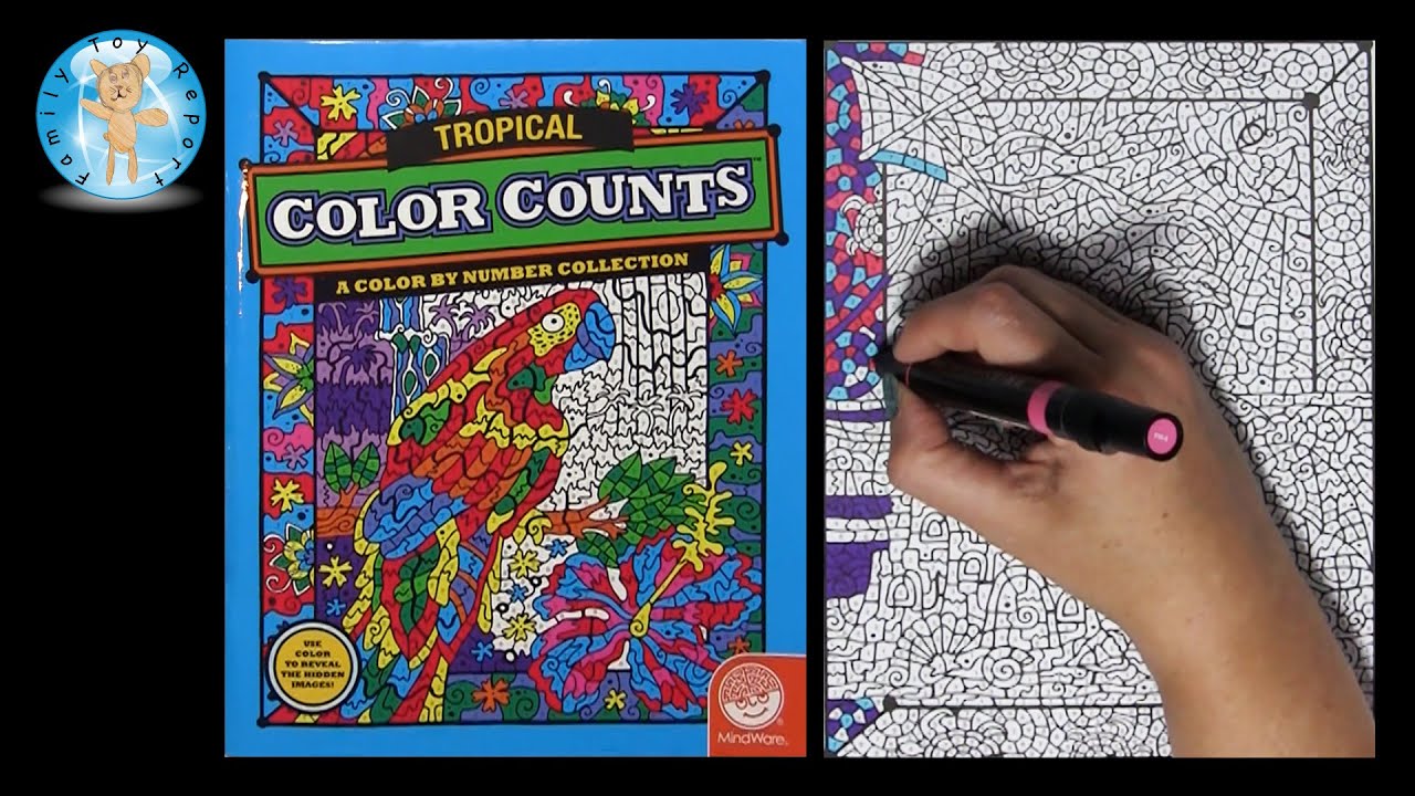 Mindware Color Counts Tropical Coloring Book Dolphins Speed Color #mindware - Family Toy Report