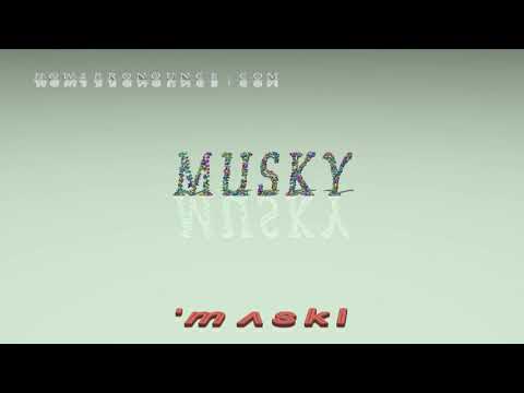 musky - pronunciation + Examples in sentences and phrases