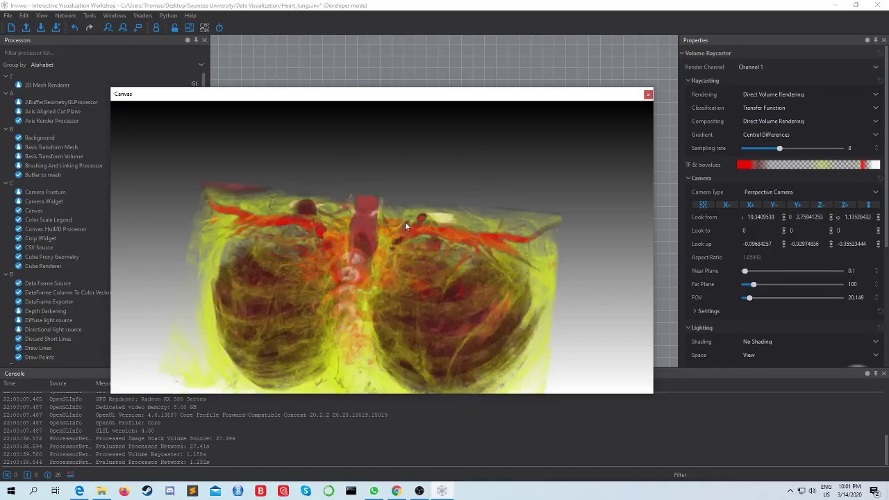 Volume Visualization on Visible Human Project dataset